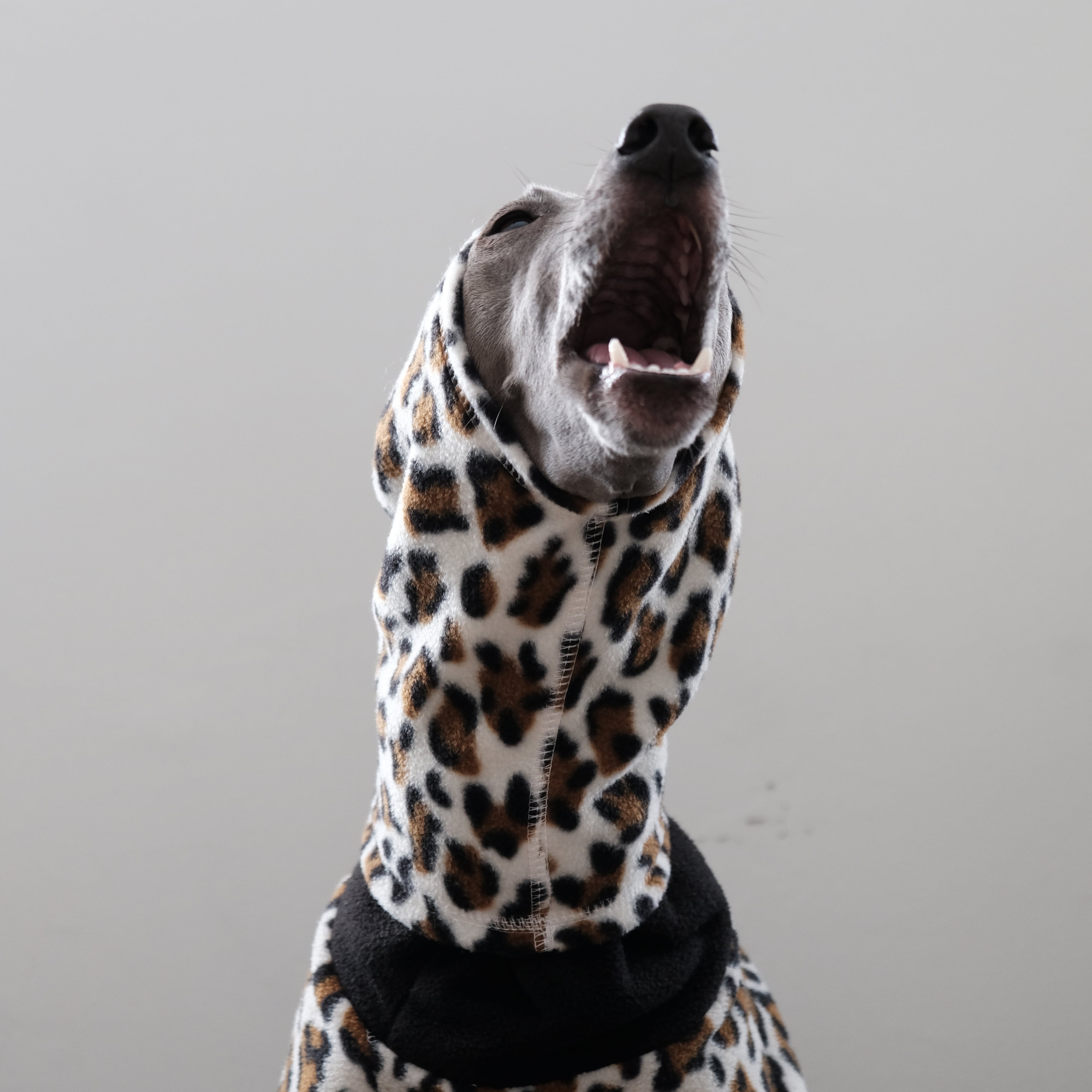 Dogsnug - Snood for Dogs - Dogsnug